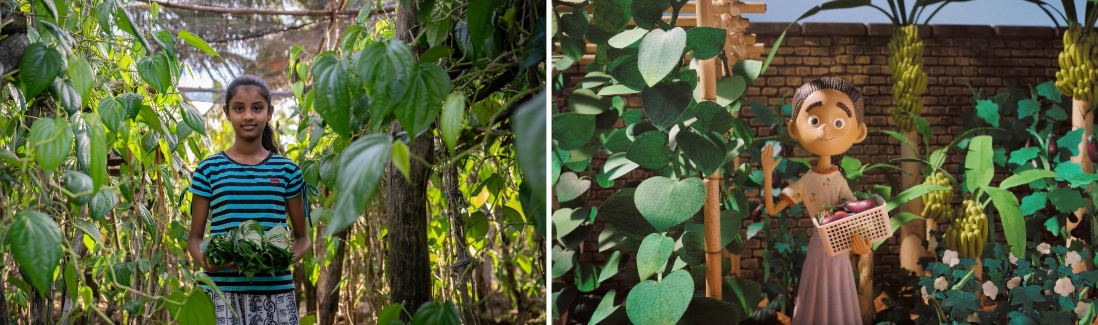 A climate change champion: Meet Dewmini from She Creates Change - Room ...